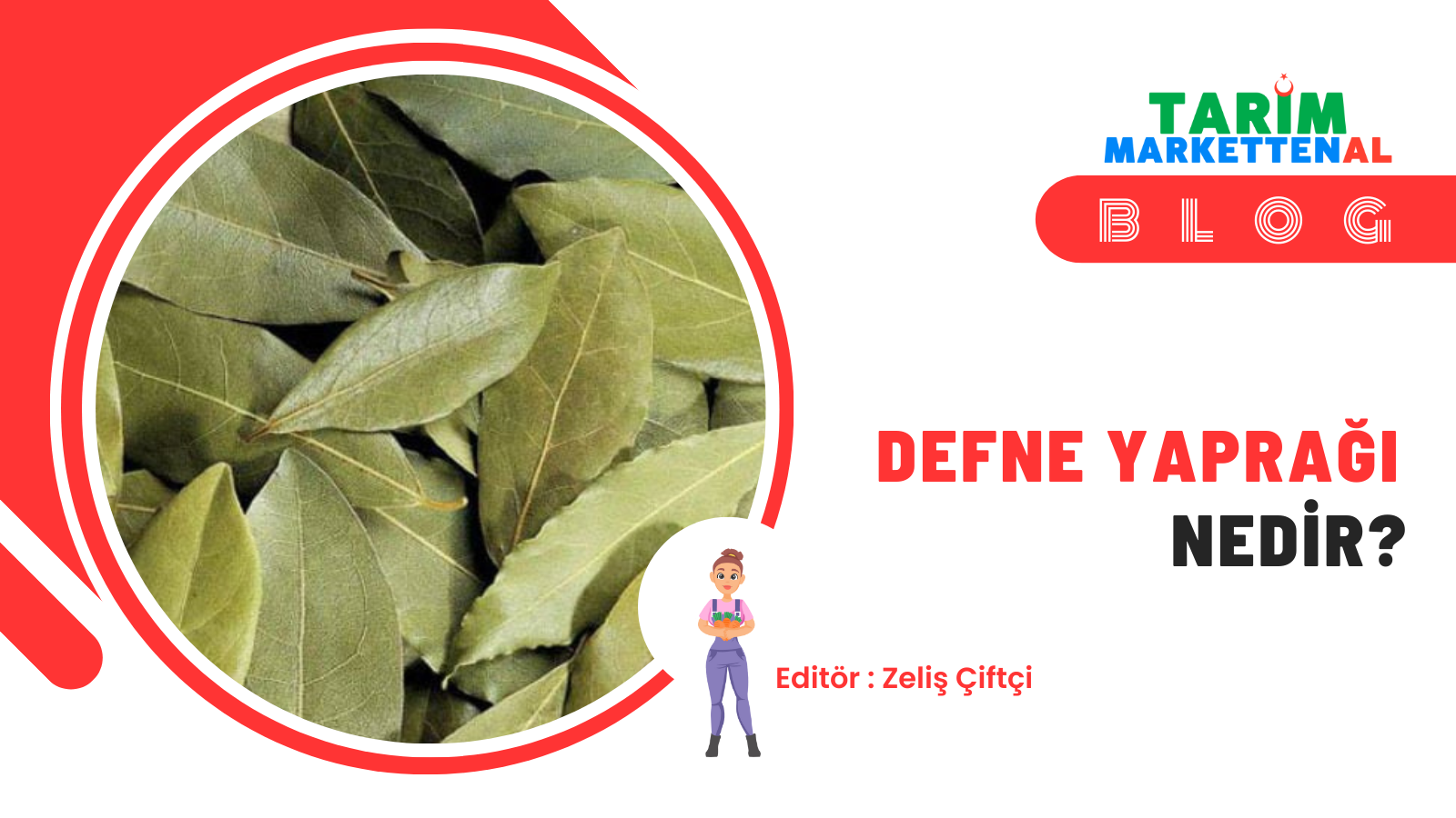 Defne Yaprağı Nedir? - Tarım Marketten AL